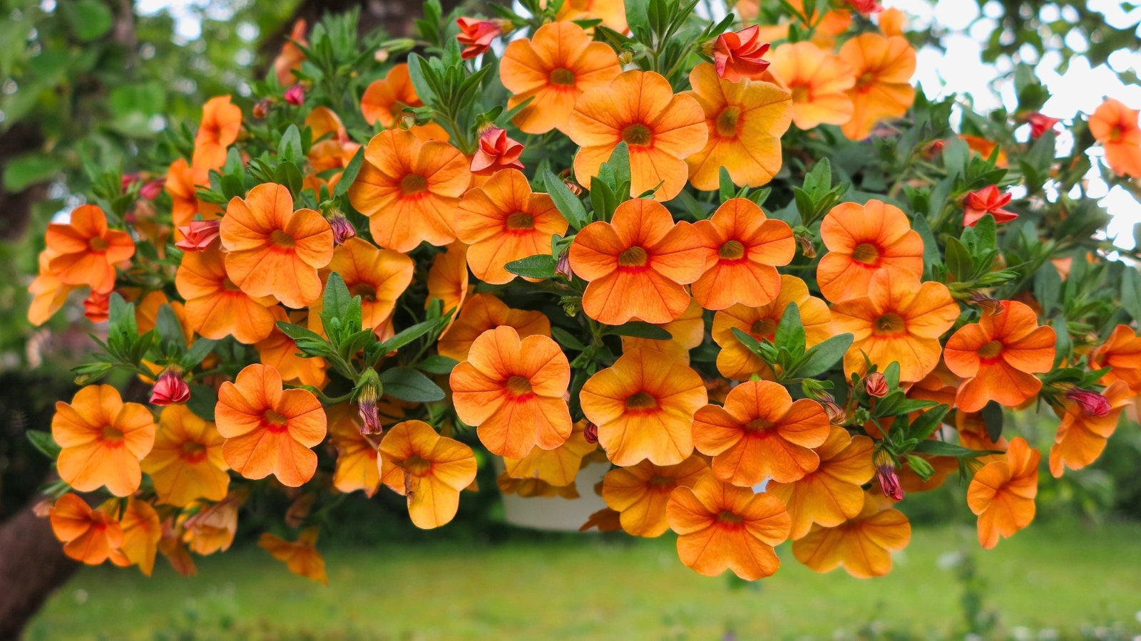 9 Festive October Container Plant Ideas for Your Front Porch