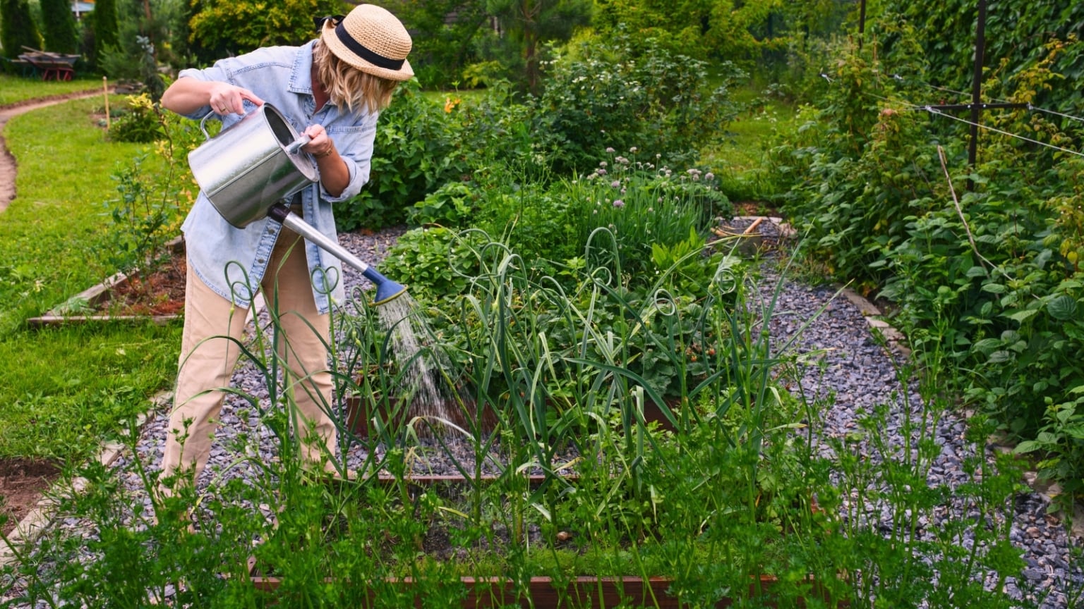 Weed-Free Garden Paths: How to Create and Maintain Them