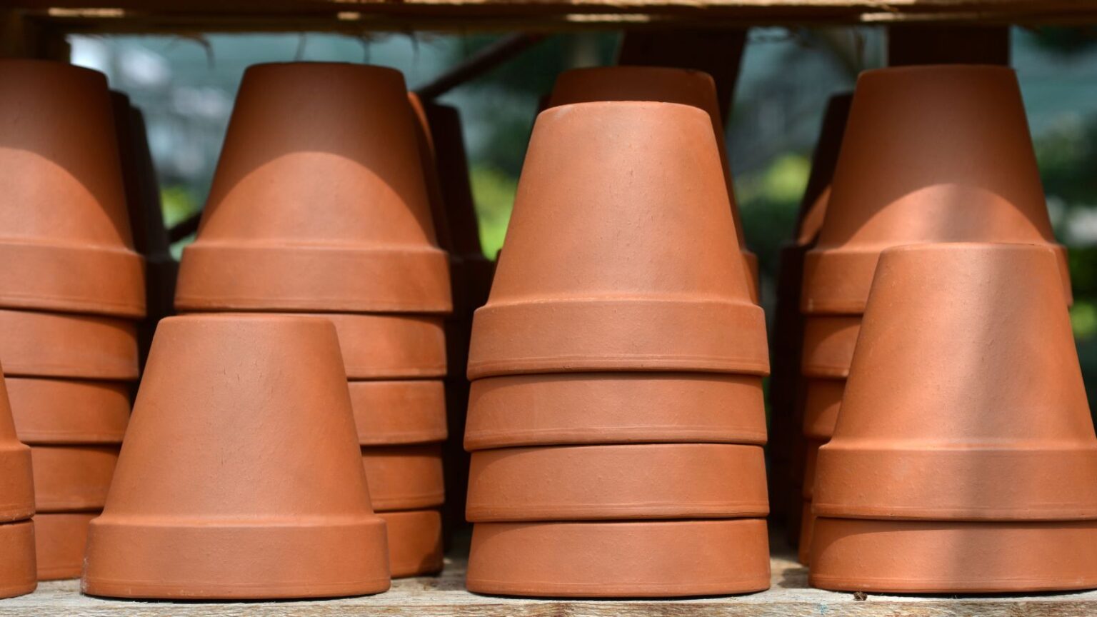 How to Grow Garlic in Pots and Containers