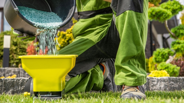 Fall Lawn Feeding: 7 Fertilizing Tips