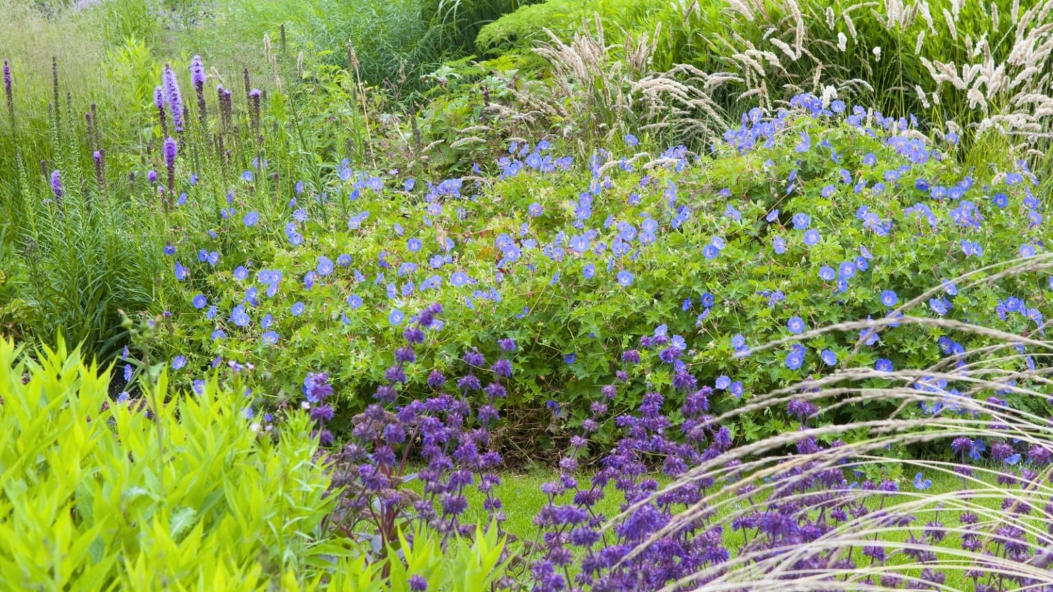 How to Design a Blue Garden