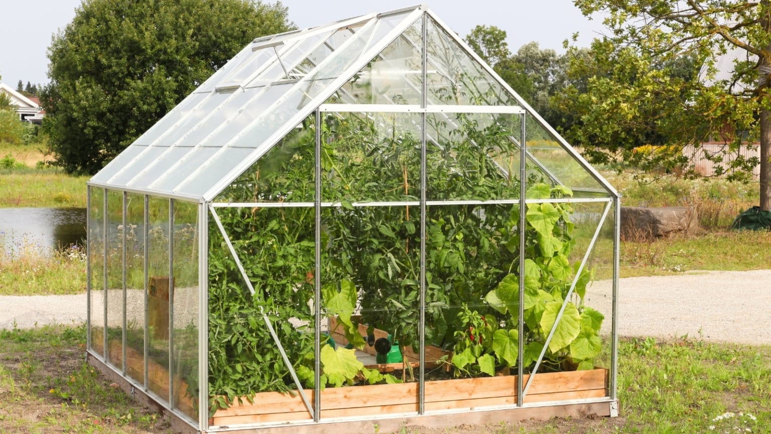 Raised Bed Greenhouse Gardens: Tips & Tricks