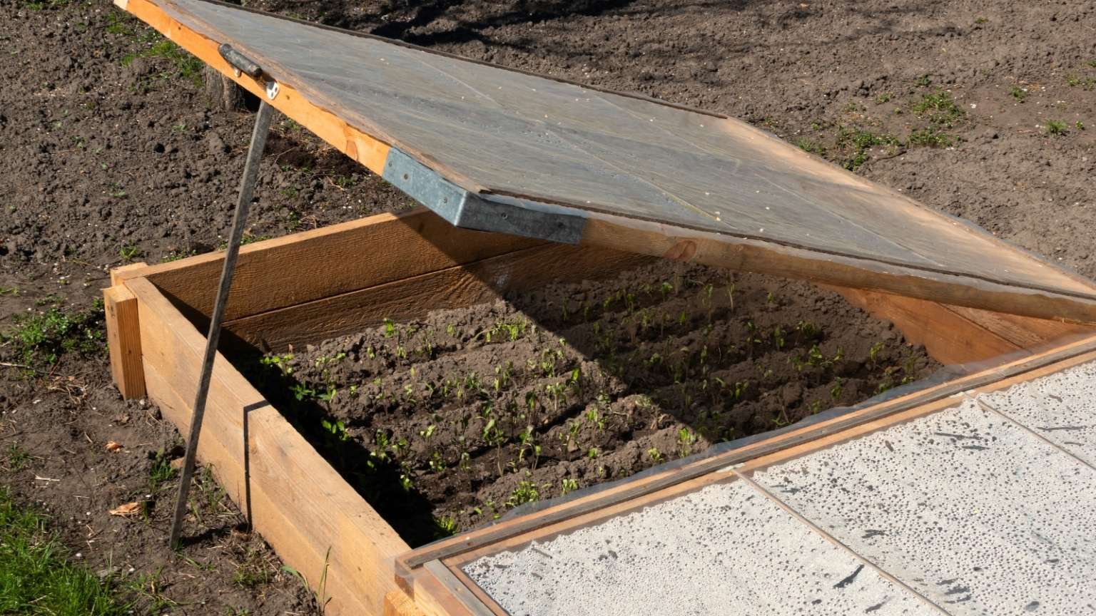 How to Winterize Your Garden in One Weekend (Even If You're a Beginner)