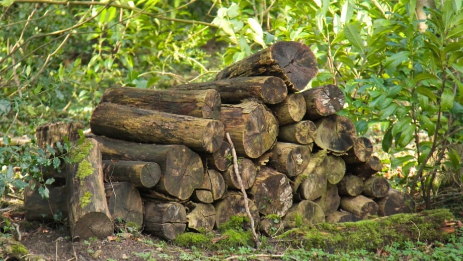 How to Create a Log Pile Habitat for Wildlife in Your Yard
