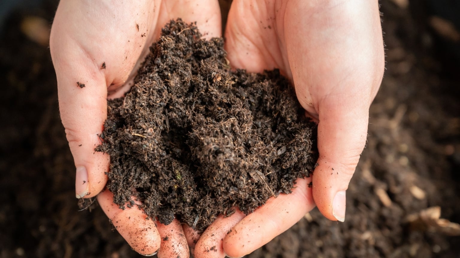 Soil Sulfur: How It Works - Epic Gardening