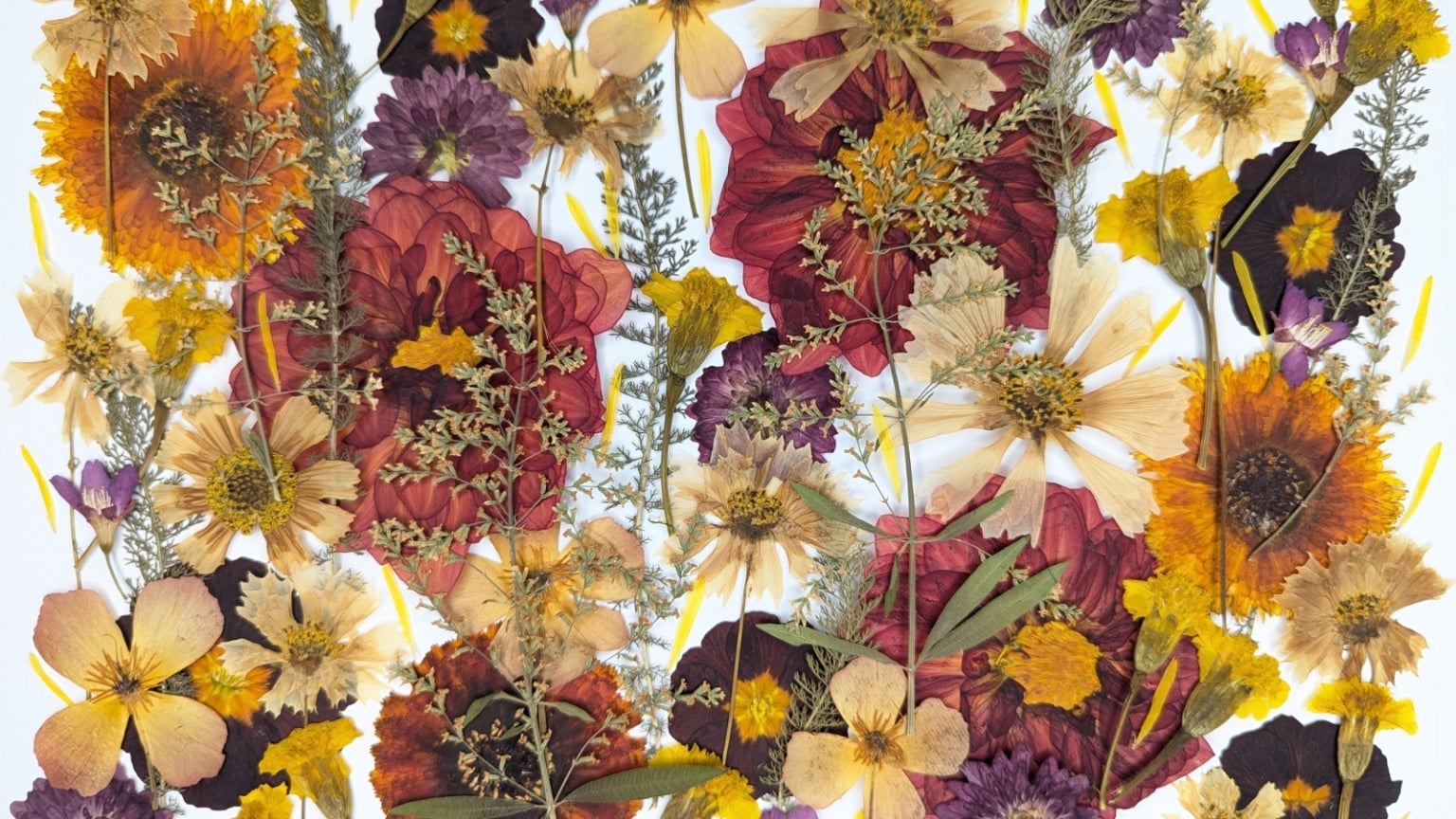 The 13 Best Flowers for Pressing
