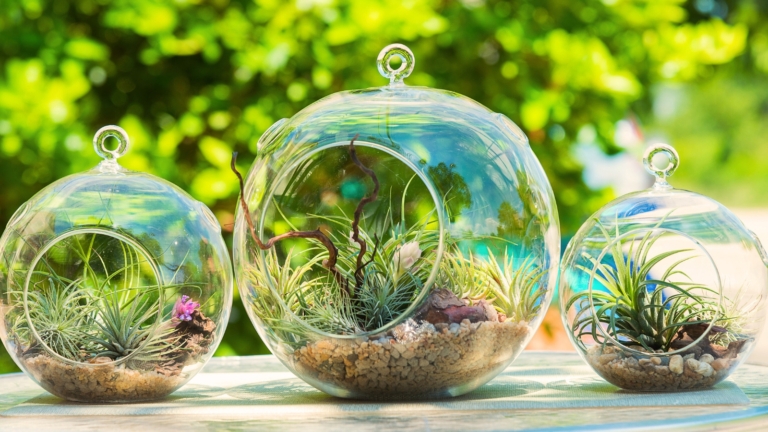 11 Cozy Fall Terrarium Ideas