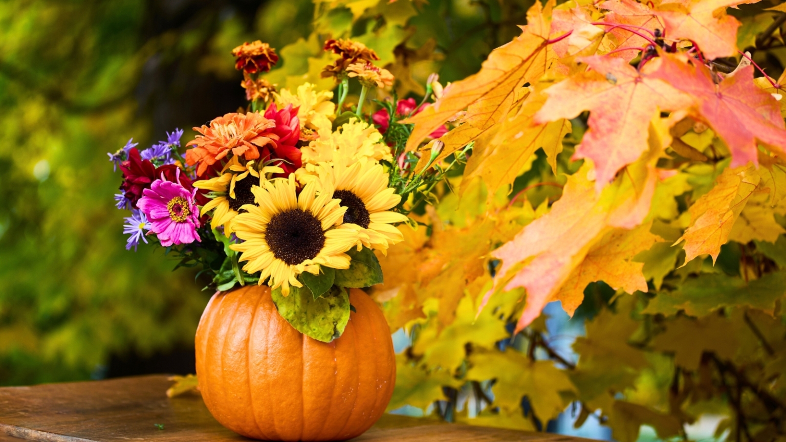 Foraged Fall Decor: Cute and Free Ideas from Your Garden