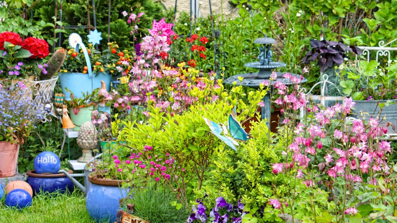 How to Create a Wildlife Garden in a Small Space